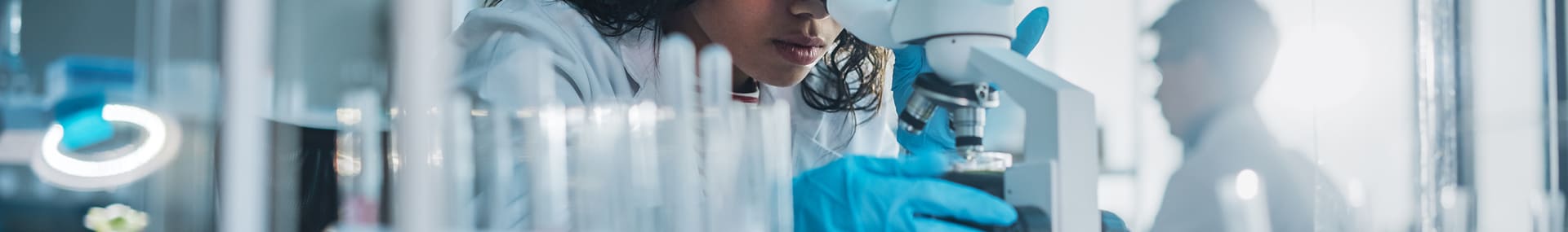 Fastest Growing Ecosystem - Evolution FZ